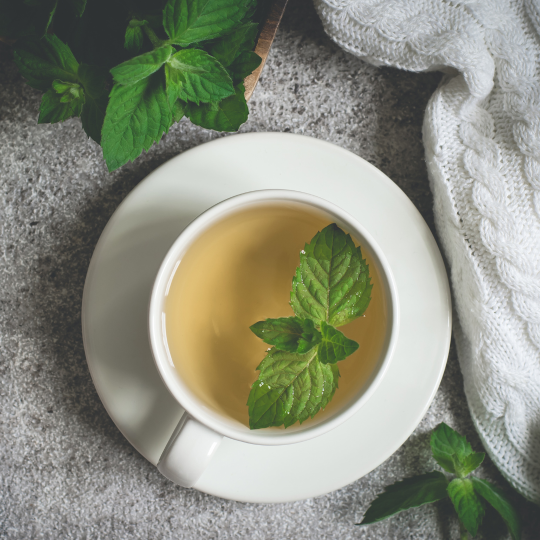 HILL & BROOKS PEPPERMINT TEA – Canteen Canada